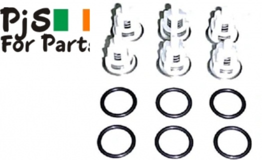 Interpump Valve kit 150 - Pjs for parts