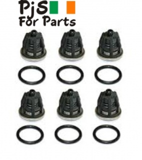 Interpump WS201-202 valve set /others - Pjs for parts
