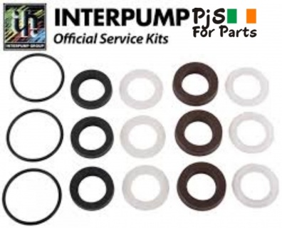 Interpump Kit no 273 water deals fit E2E2116,E2E2114,E2E2113,E2E2111 ...