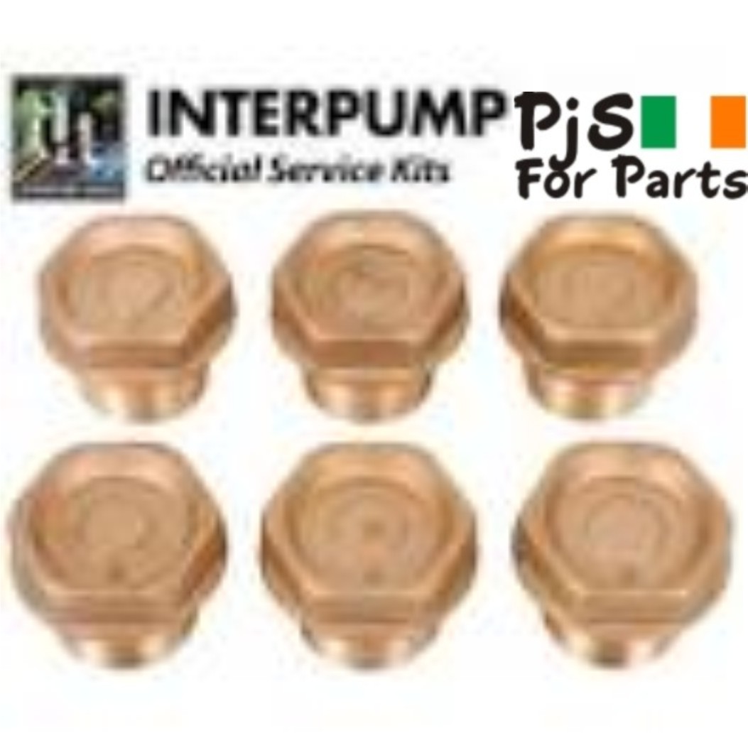 Interpump Kit 4 Valve caps W98,W99,others - Pjs for parts