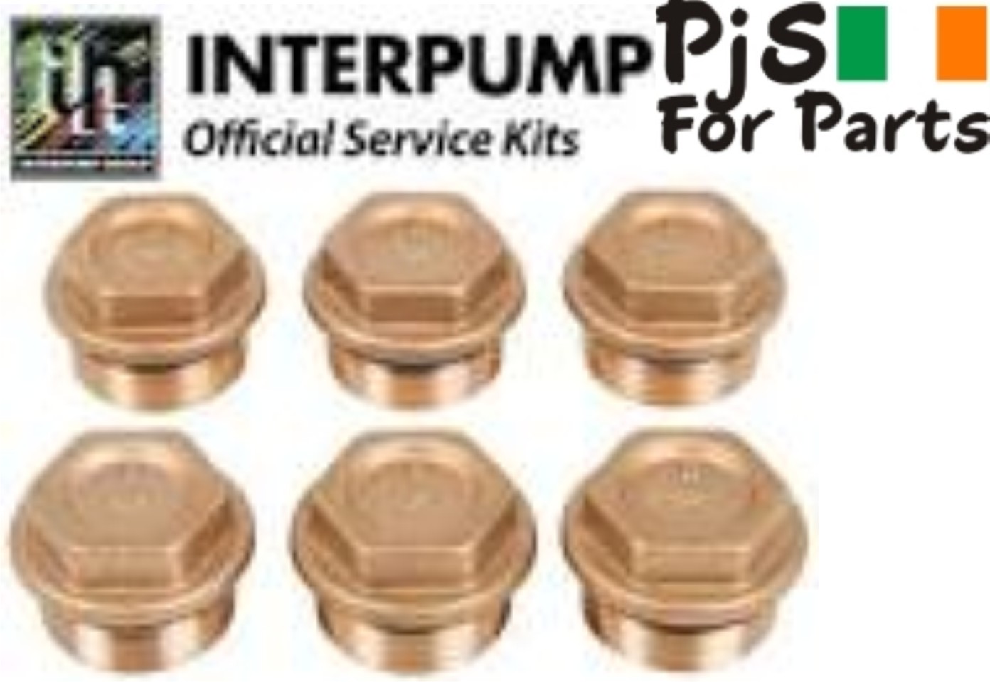Interpump kit 84 Valve caps WW55,WW56,others - Pjs for parts