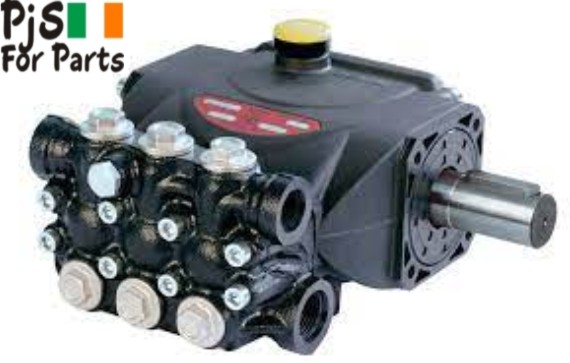 Interpump E1B1613M - Pjs for parts