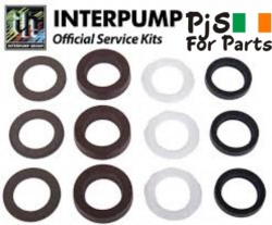 Interpump Kit No. 69 WS201/202 water seals. WS201,WS202,W101 W131, W151 ...