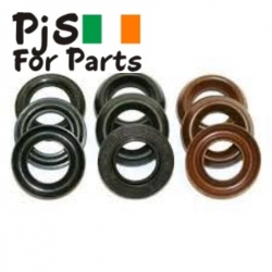INTERPUMP WS201 - Pjs for parts
