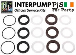 INTERPUMP Water Seals - Pjs for parts